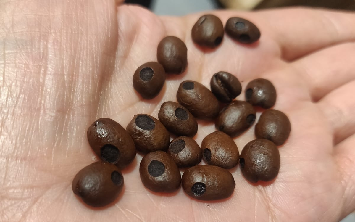 Coffee Roasting Defects – Loring Smart Roast